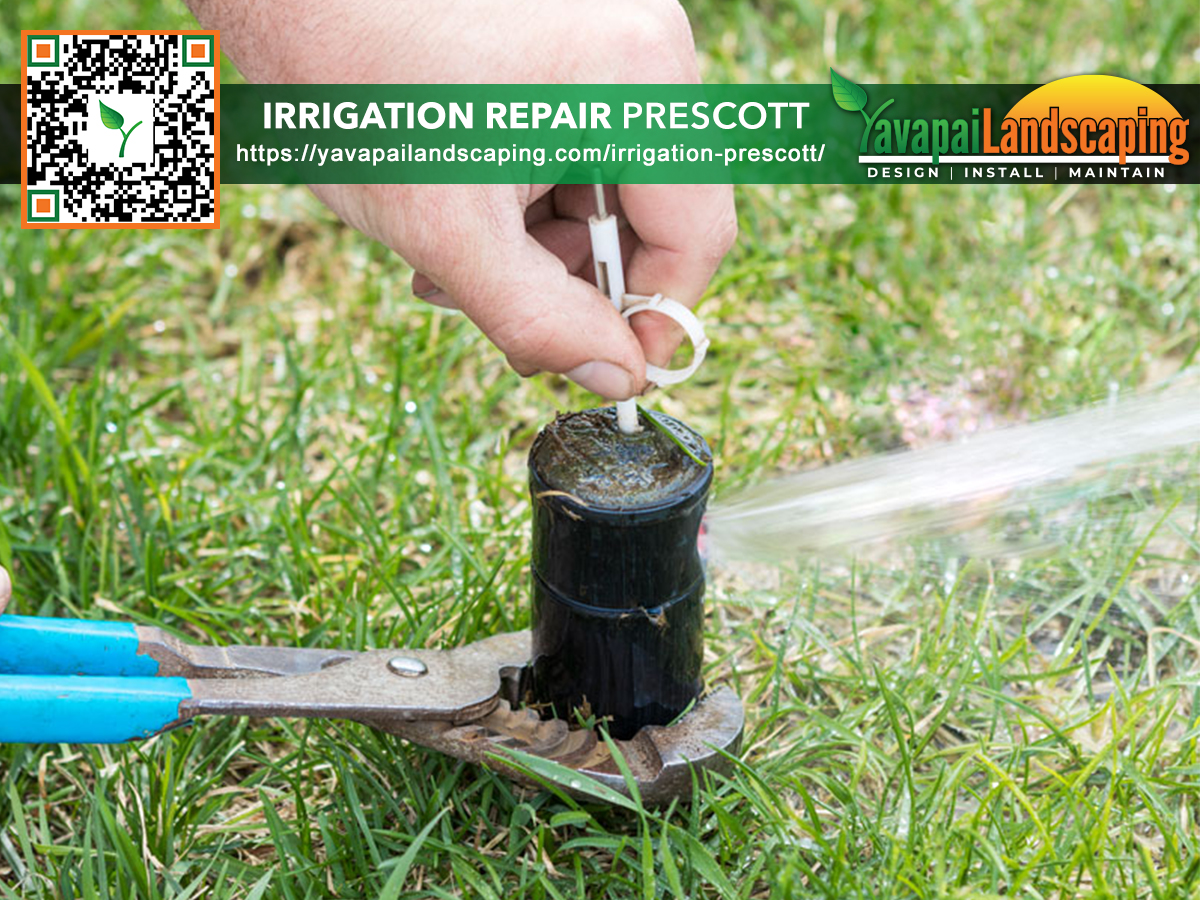 Maintaining Prescott Lawns with Proper Irrigation Upkeep