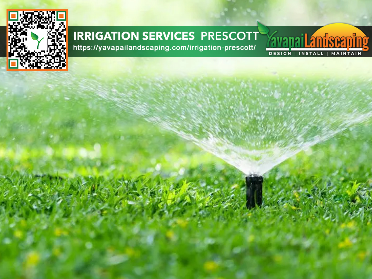 Irrigation Services for Lush Lawns and Vibrant Gardens